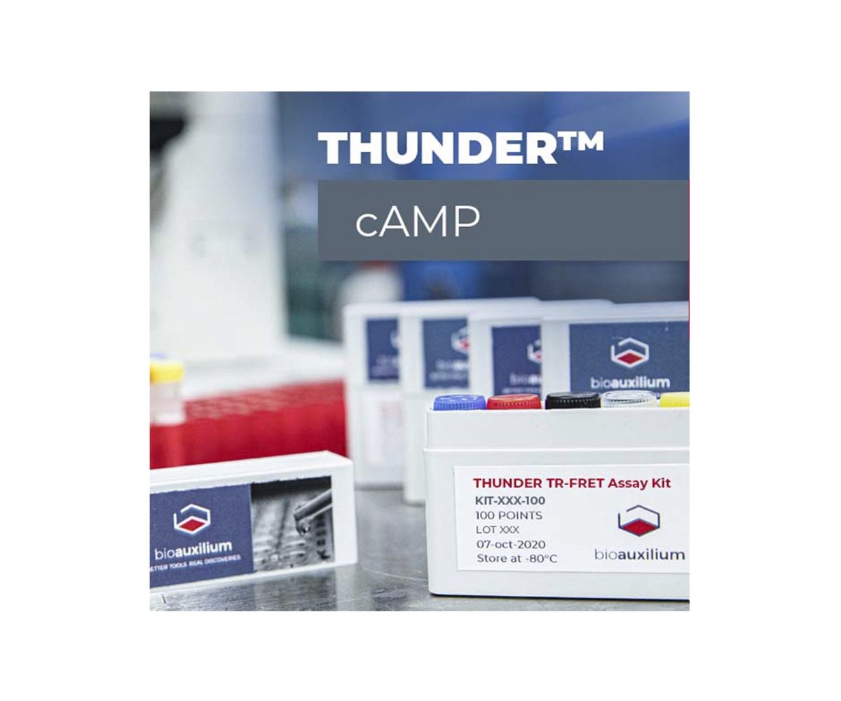 THUNDER™ TR-FRET Cell Signaling Assay Kits